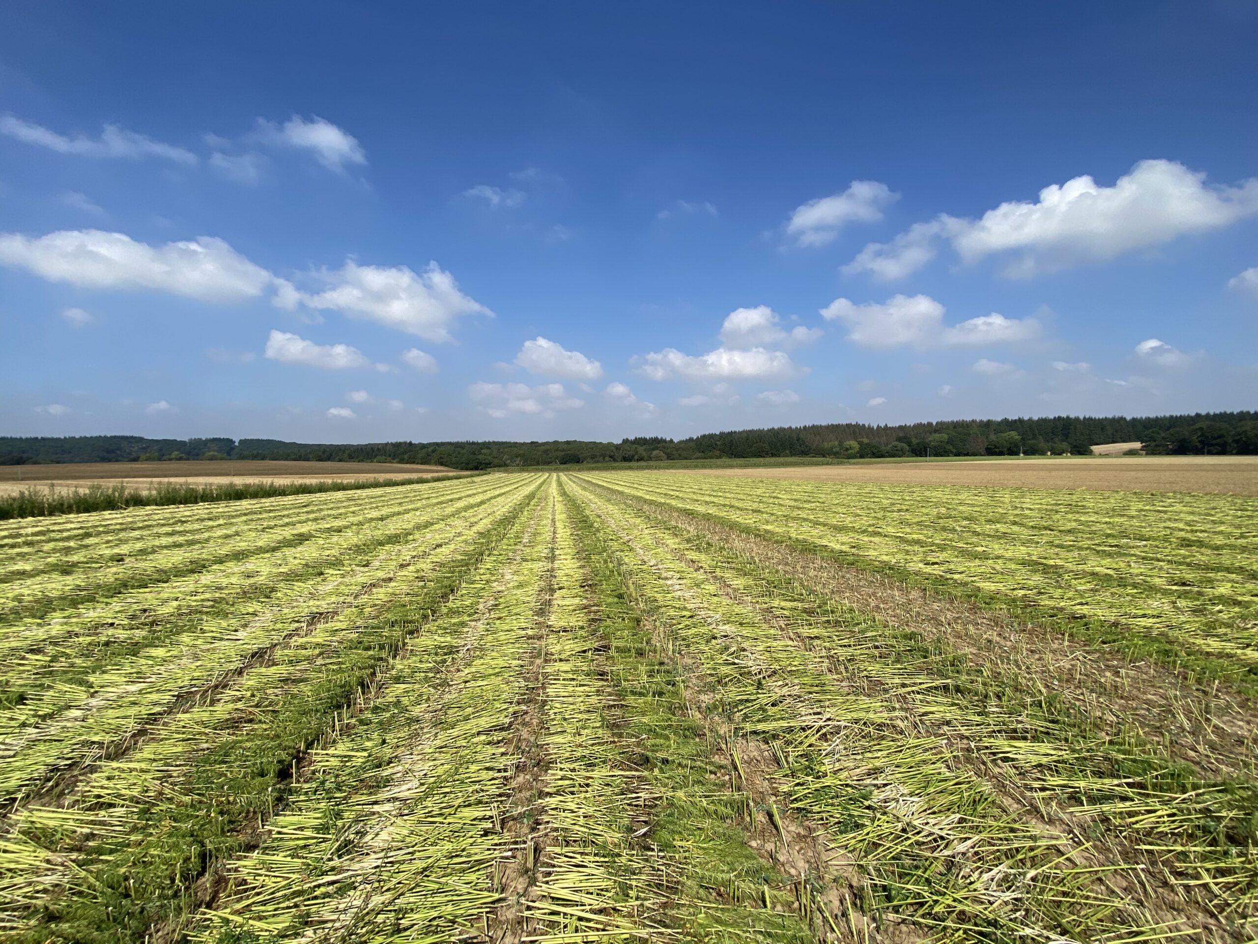 Chanvre textile - L'ARAD2