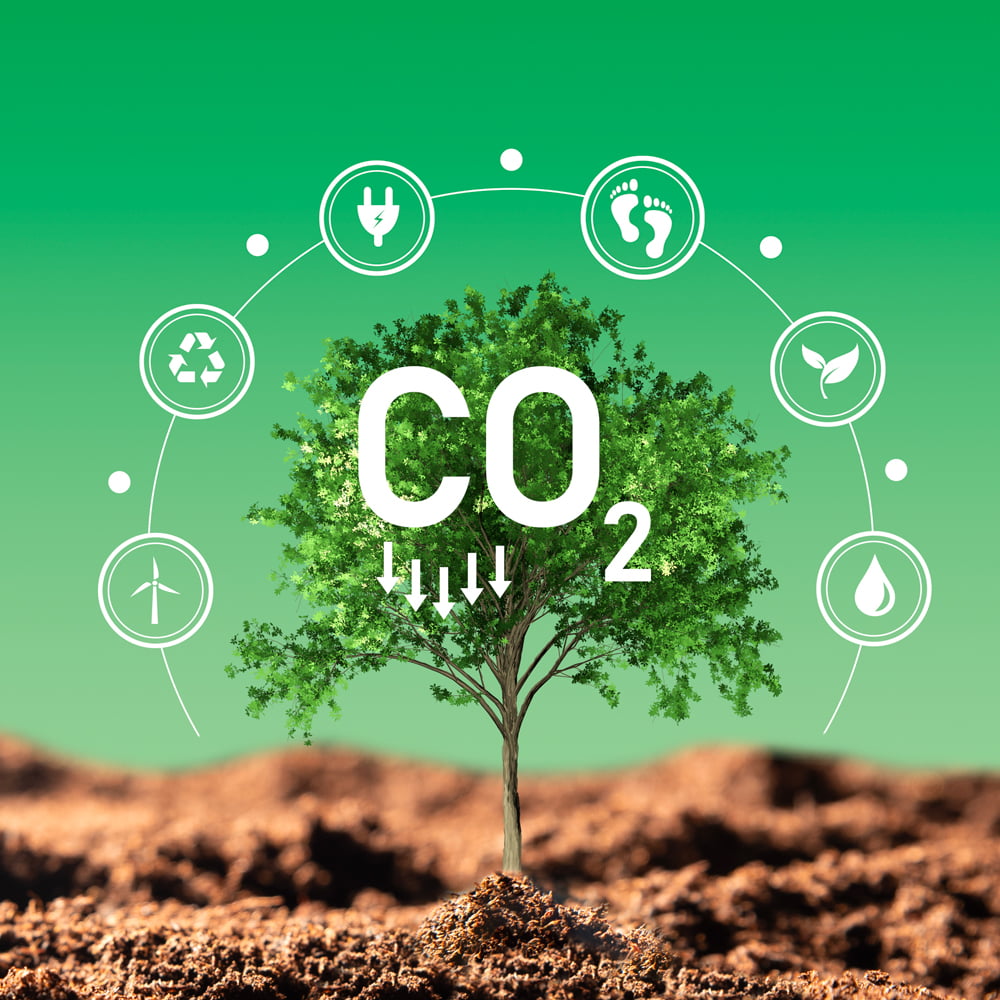 Étude carbone 2023 - L'Atelier des études économiques