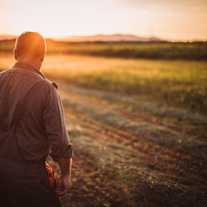Agriculture biologique 2023 - L'Atelier des études économiques